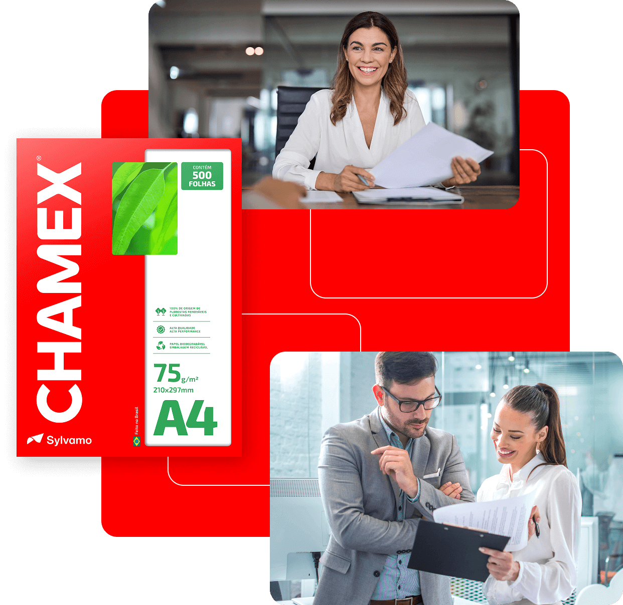 Chamex